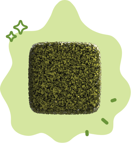 Drop in Teas | Tea Drops – Tea Drops